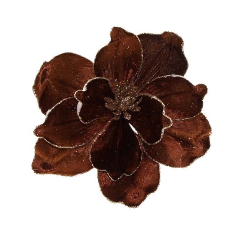 Chocolate Magnolia Flower | Atherton Christmas Tree Farm